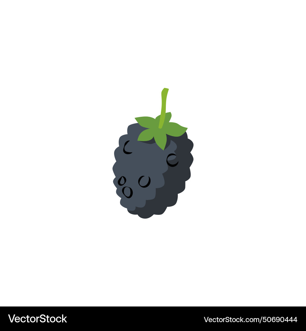 Dark berry with leaves flat style Royalty Free Vector Image