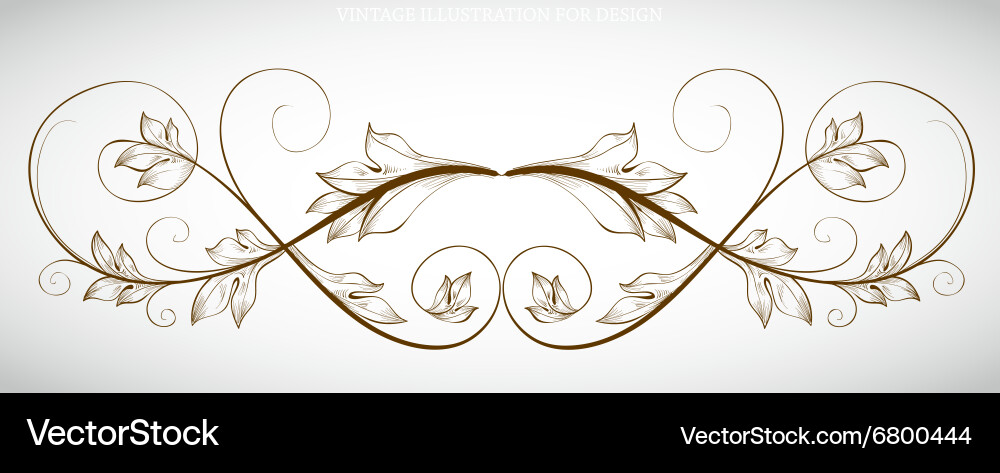 Filigree design Royalty Free Vector Image - VectorStock