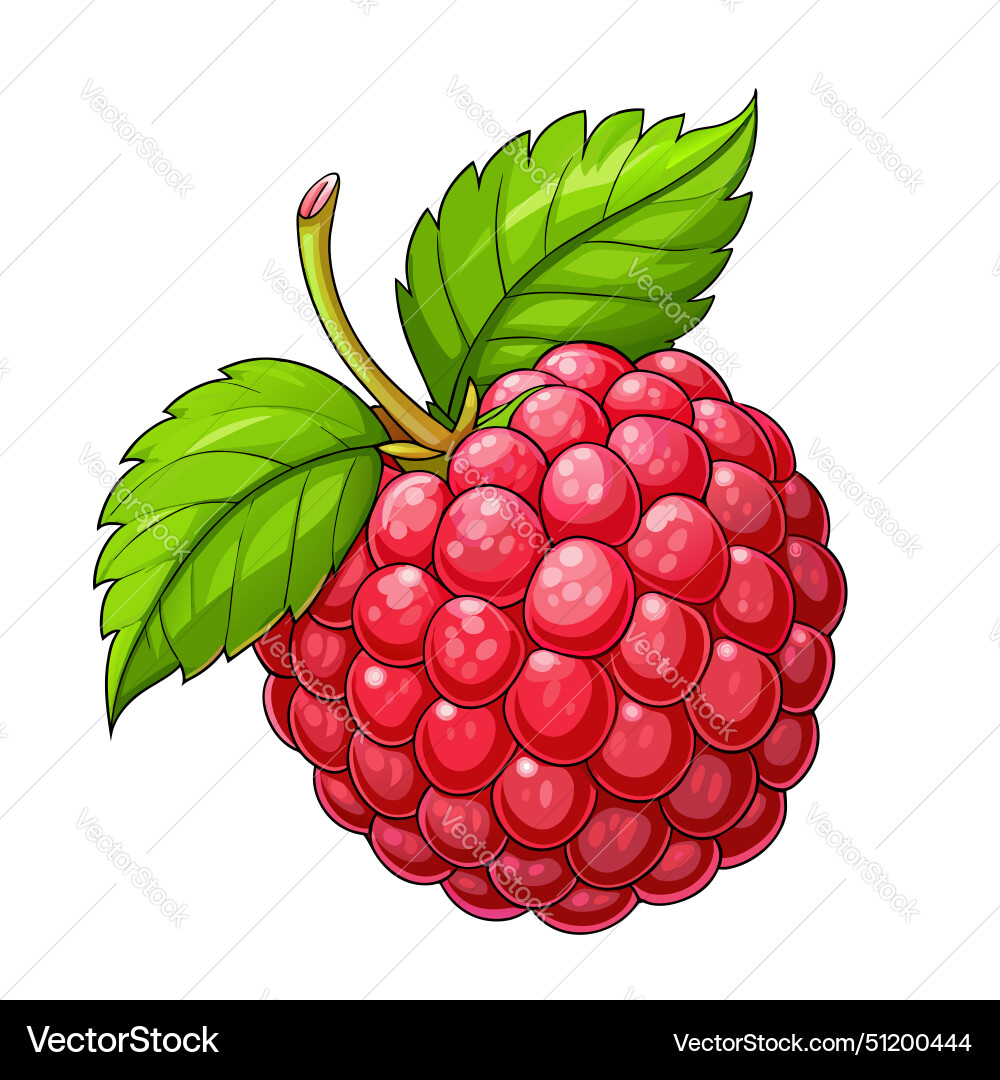 Red berry raspberry sweet icon on white background