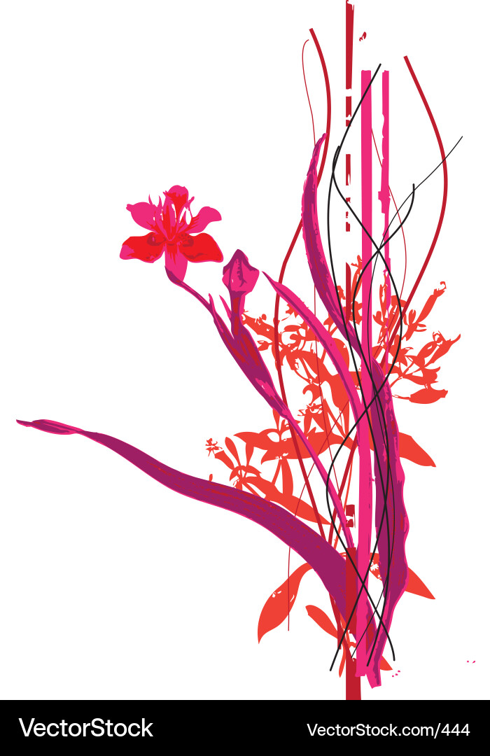 Wild flowers Royalty Free Vector Image - VectorStock