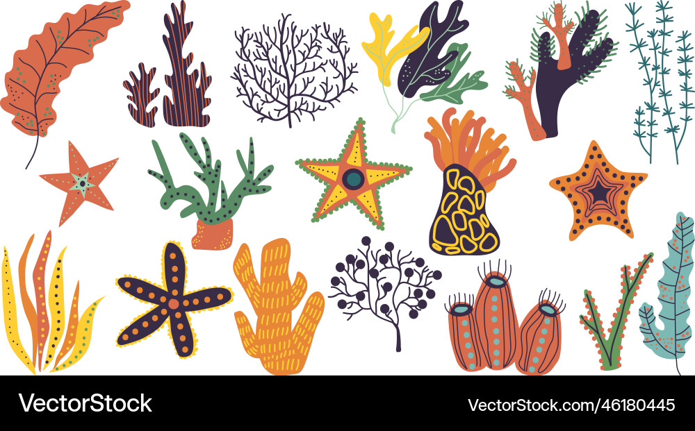 Underwater marine flora and fauna set different Vector Image