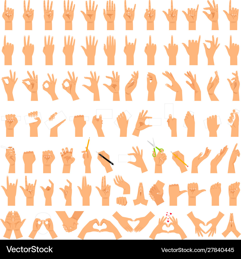 Woman's Hands - Expressions & Gestures Vector Image