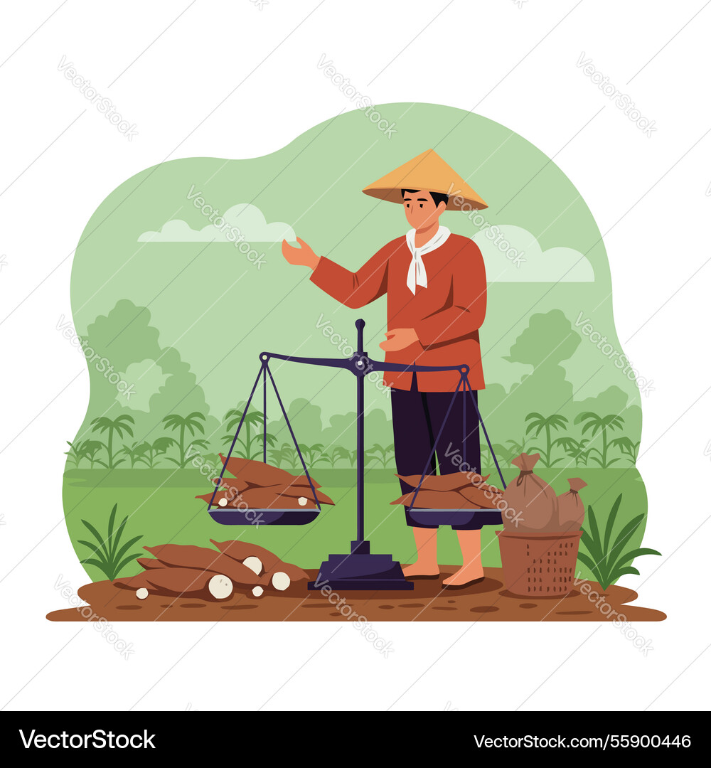 Farmer weighing cassava using scale in rural Vector Image