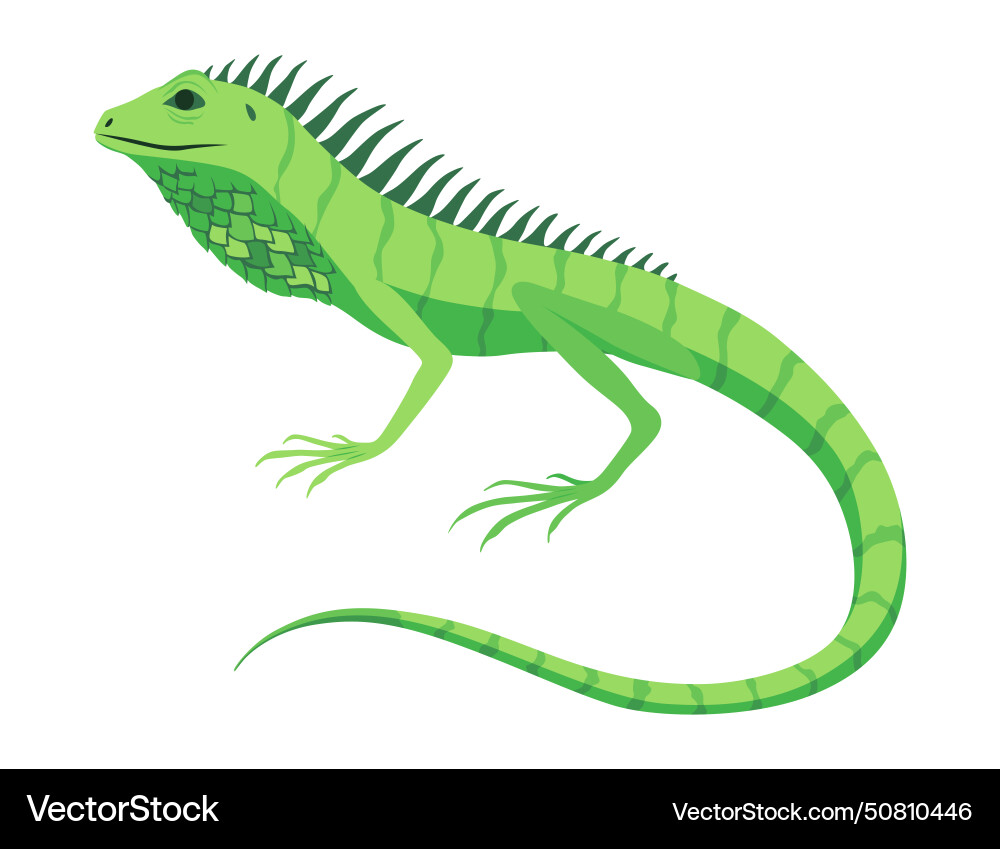 Lizard icon tropical colorful decorative Vector Image
