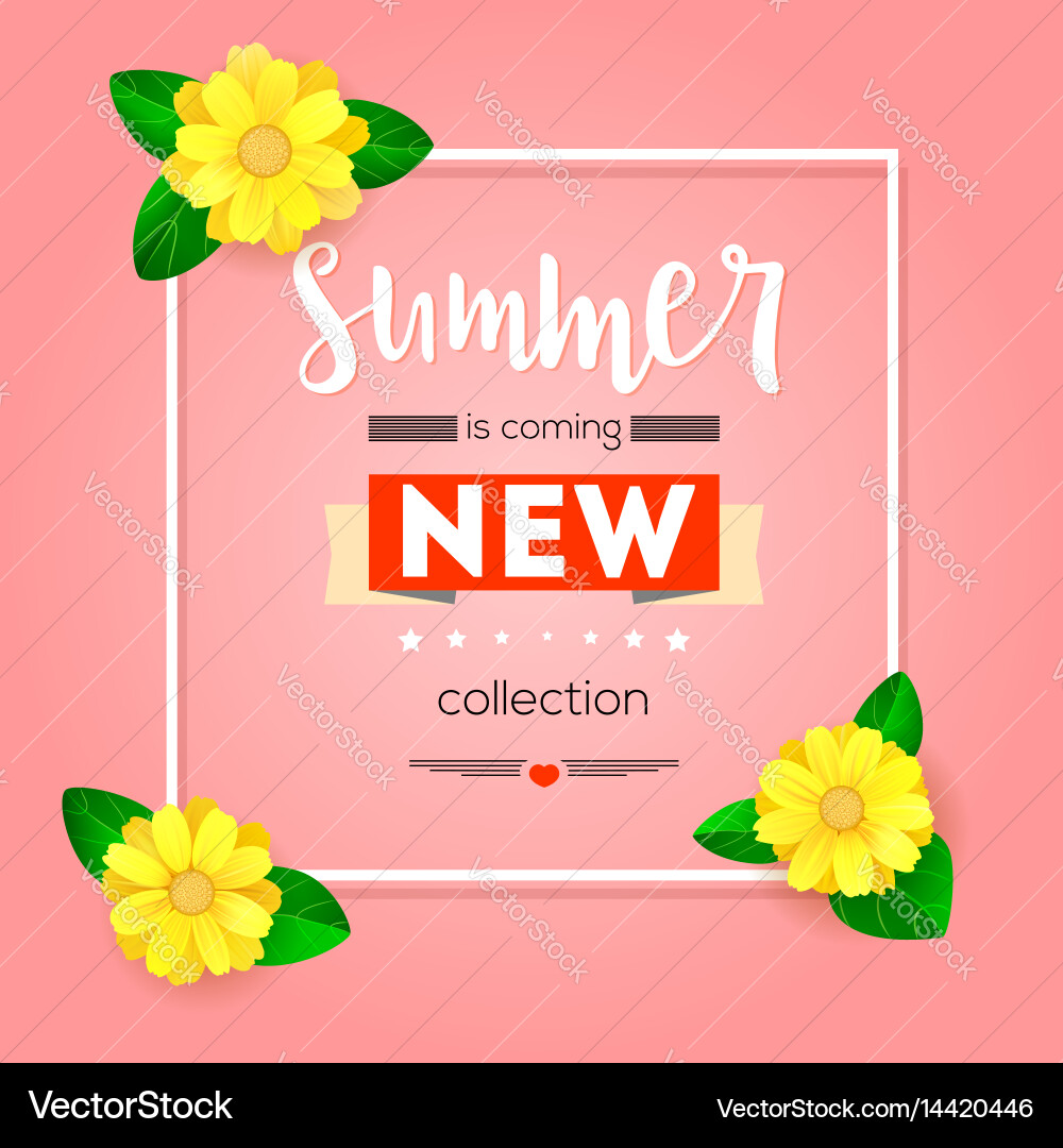 Summer new collection banner vintage style text Vector Image