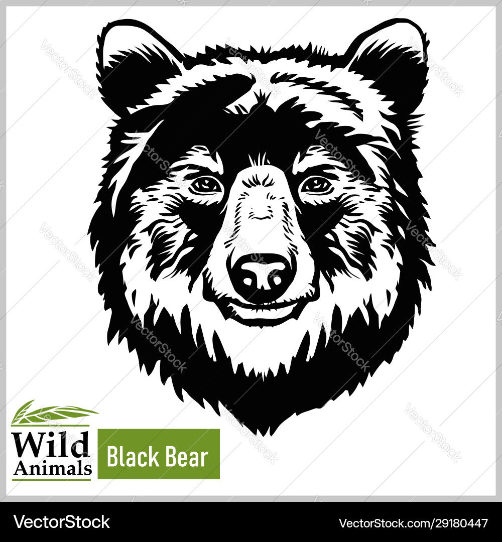 Black bear head mascot Royalty Free Vector Image