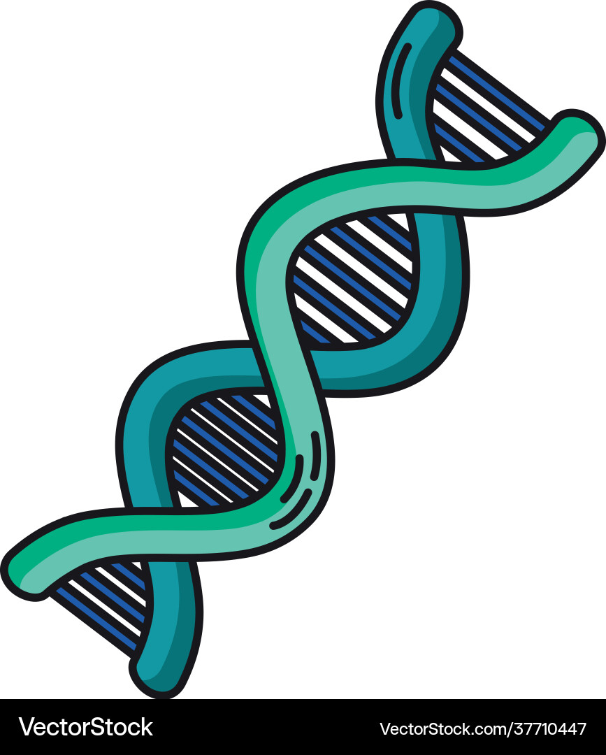 Dna strand icon Royalty Free Vector Image - VectorStock