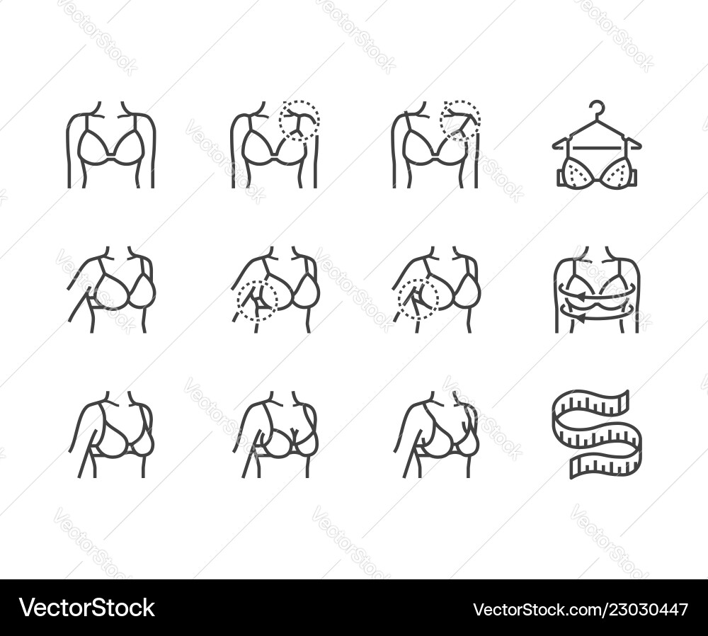 Lingerie Flat Line Icons: Bra & Measurement Vector Image