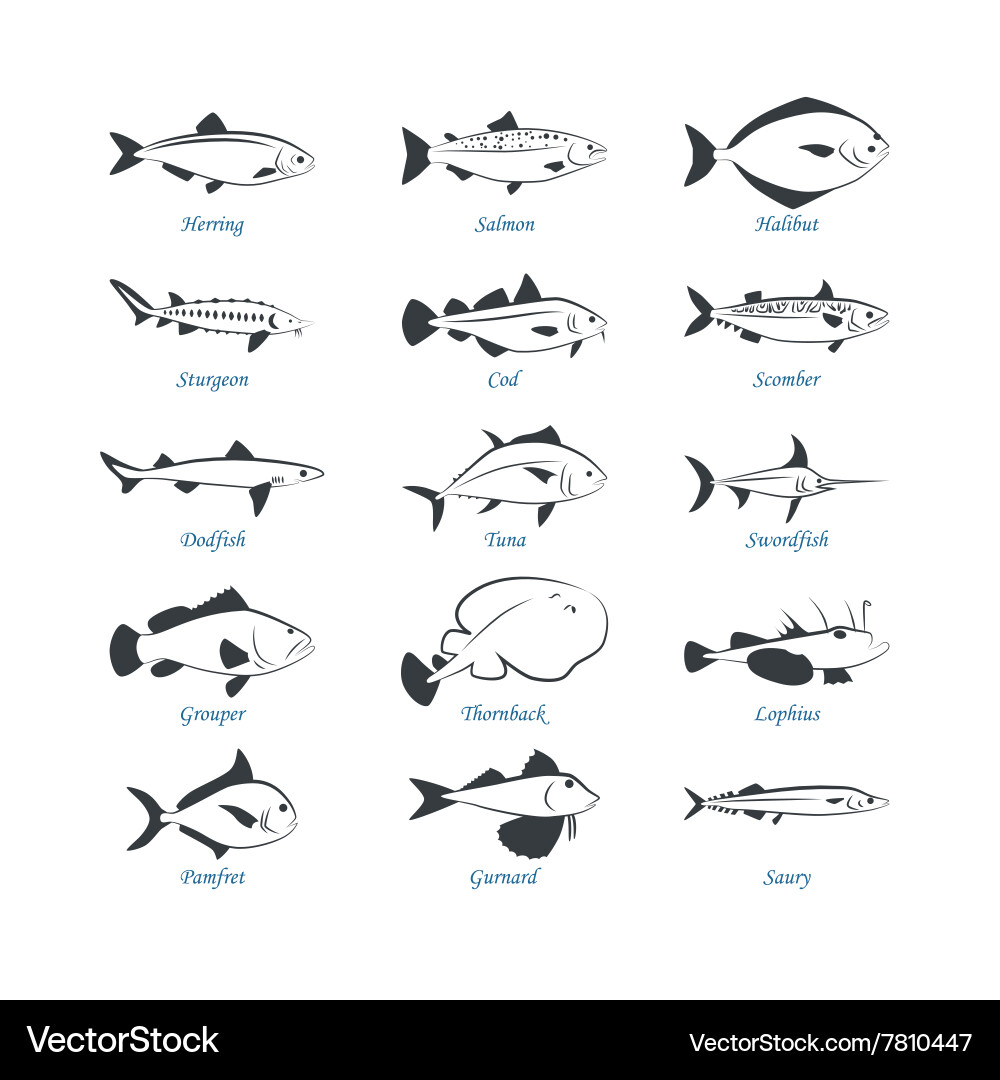 Seafood icons fish Royalty Free Vector Image - VectorStock