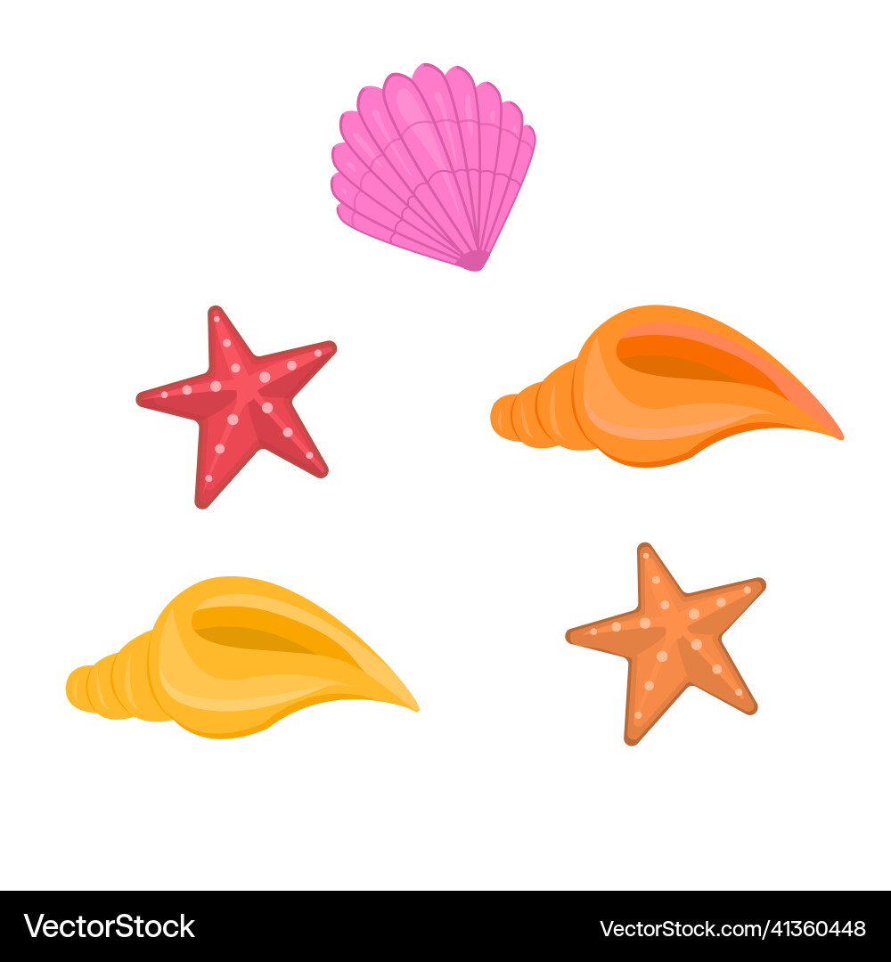 Set of seashells isolated on white background Vector Image