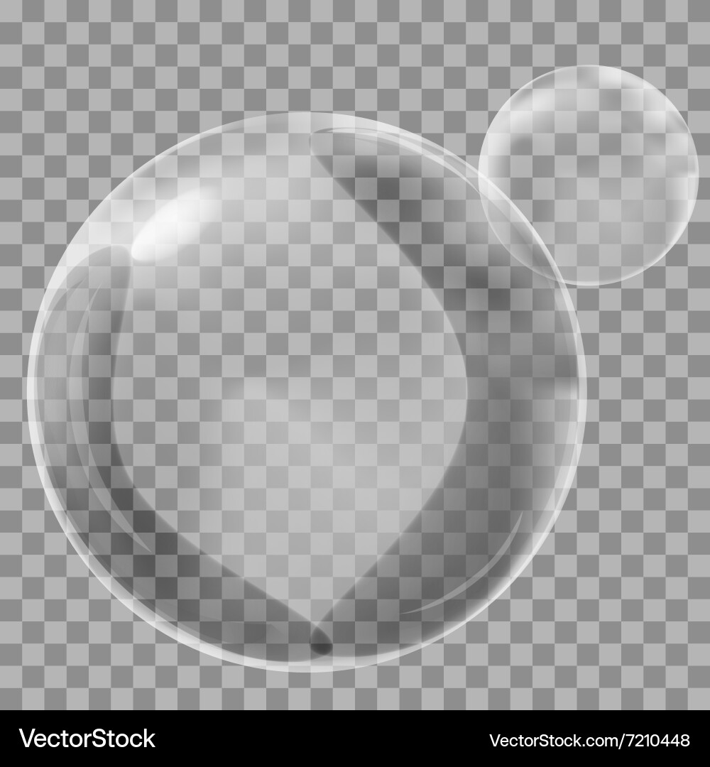 Transparent underwater bubbles Royalty Free Vector Image