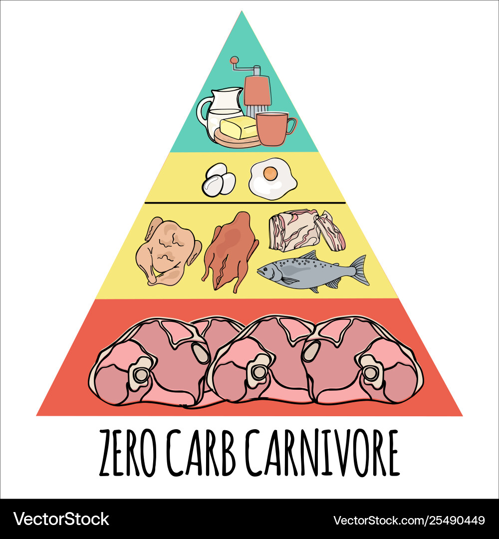 Carnivore Pyramid Diet Food Chart Royalty Free Vector Image