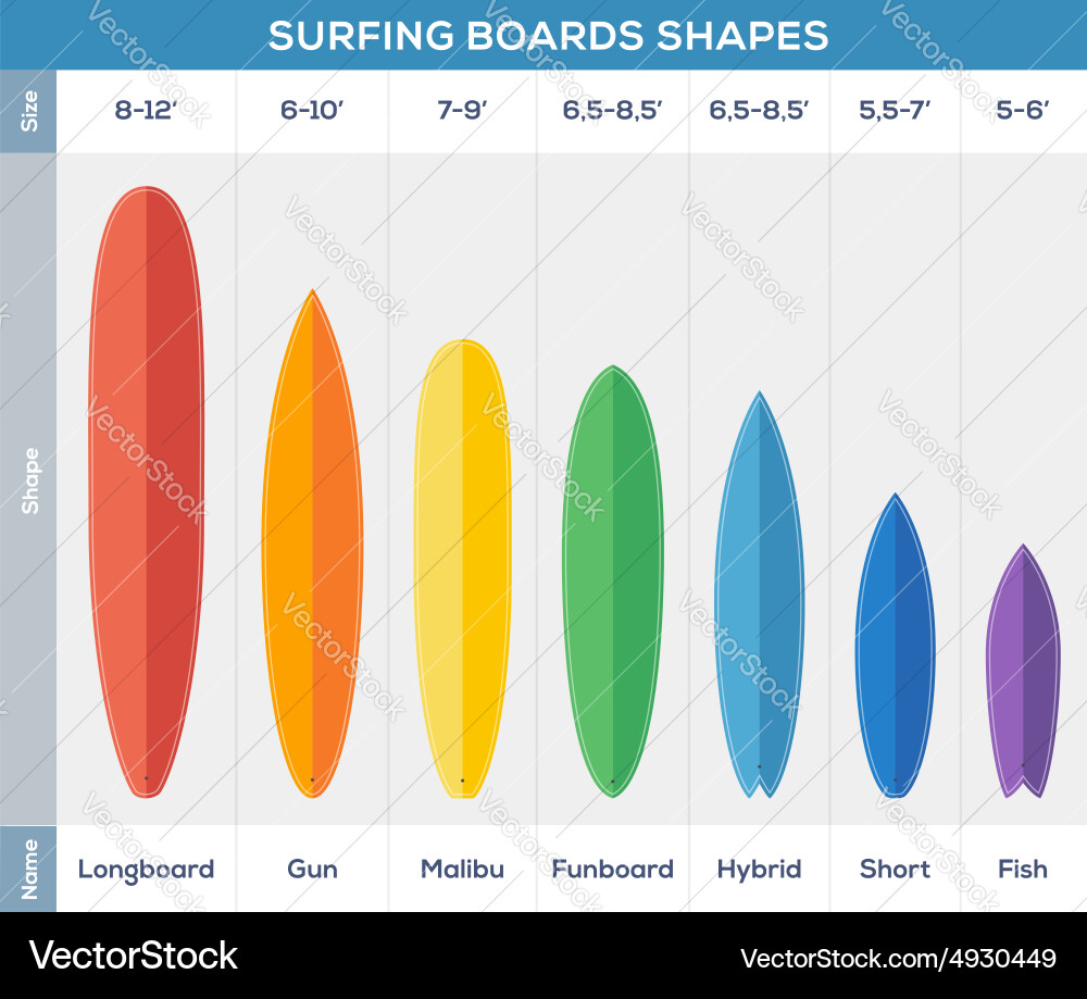 Surfing boards types infographic Royalty Free Vector Image
