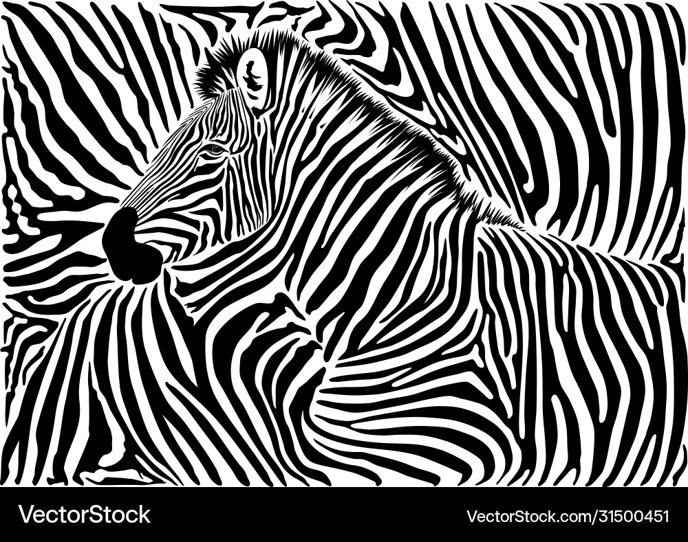 Background with a zebra motif Royalty Free Vector Image