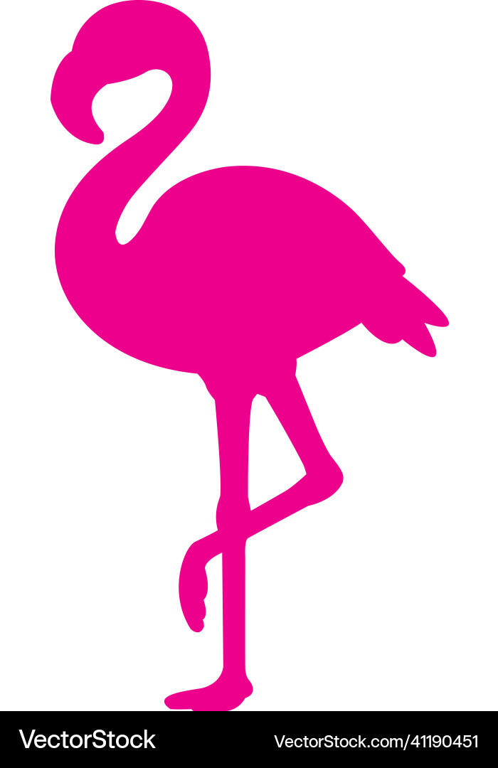 Clipart De Flamingo