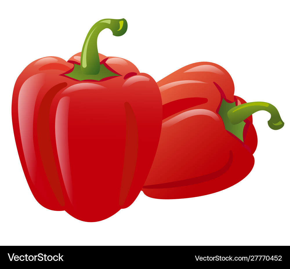 Bell peppers Royalty Free Vector Image - VectorStock