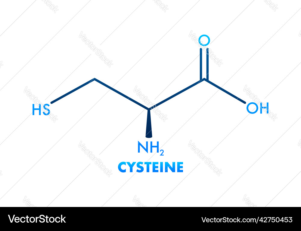 Cysteine molecular skeletal chemical formula 3d Vector Image