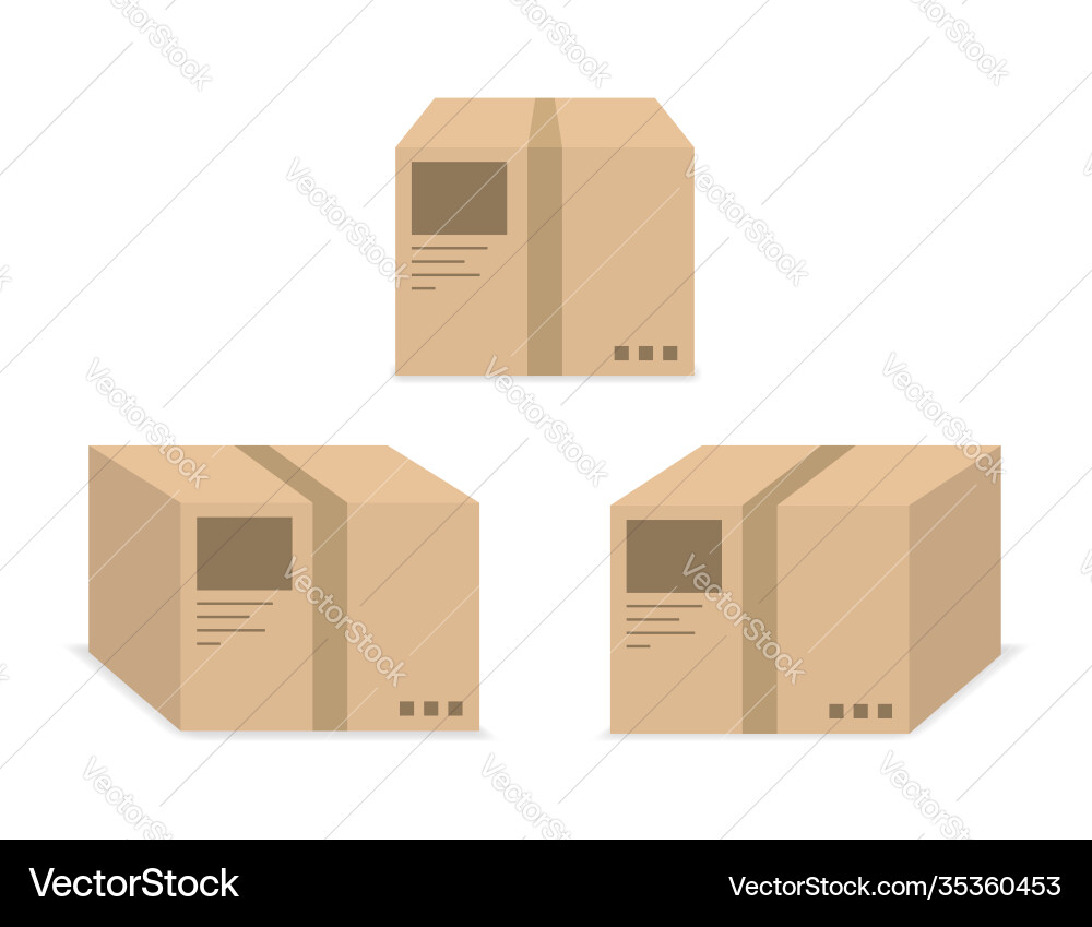 Delivery box shipping icon on white background Vector Image