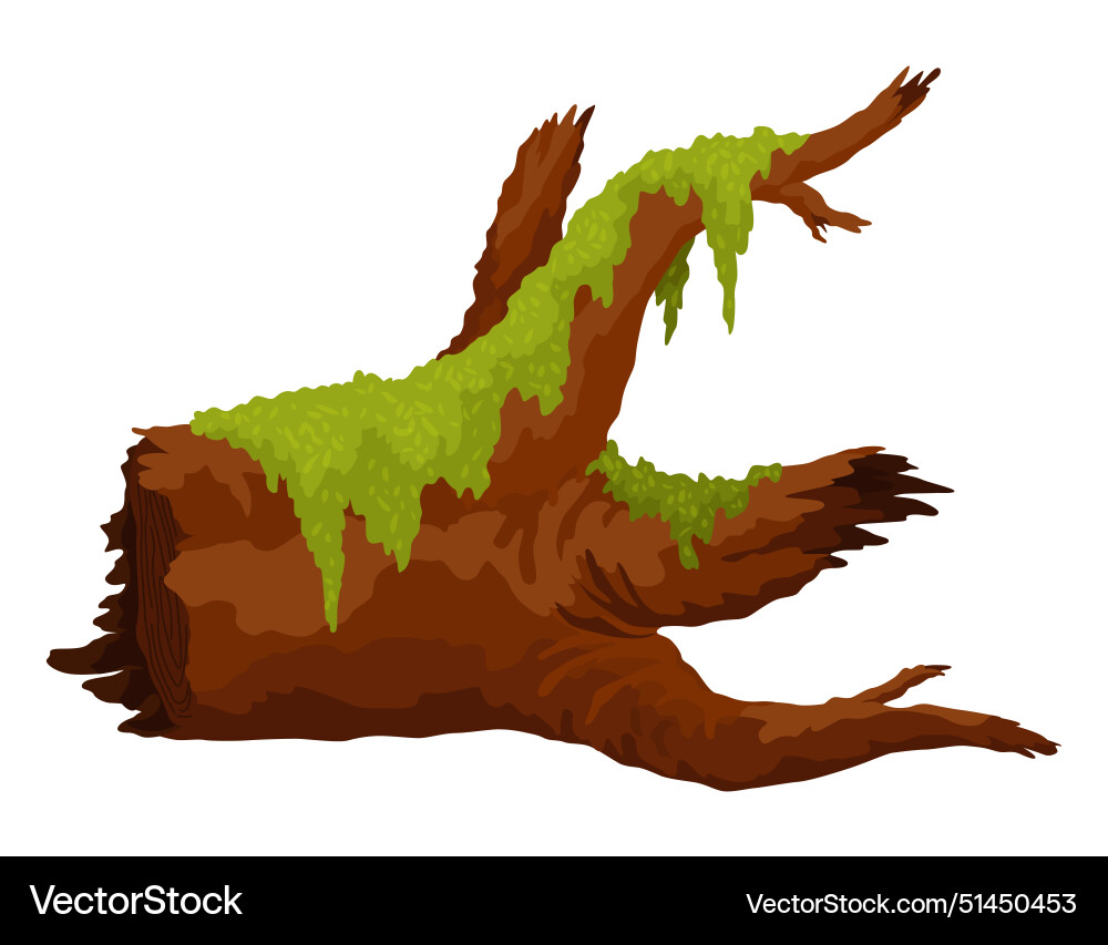 Log stump in moss cartoon tree lichen swamp Vector Image