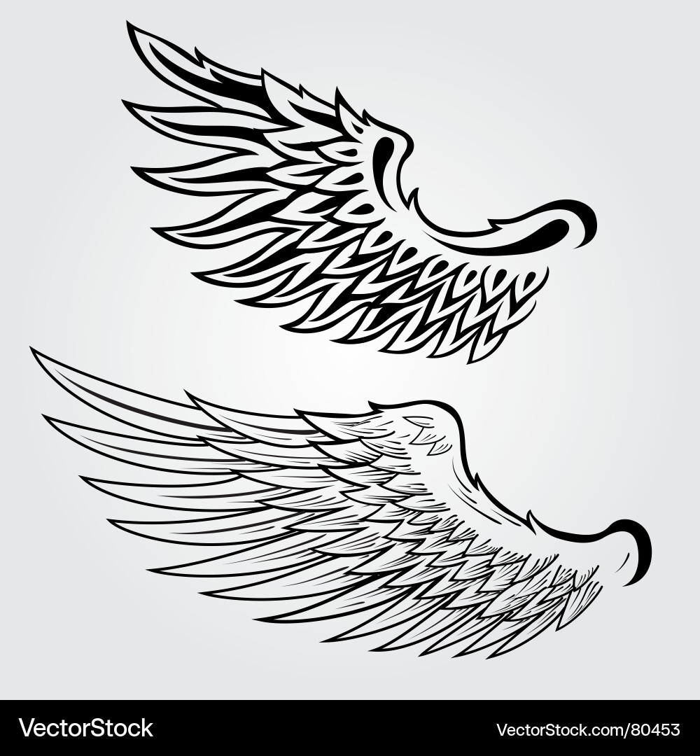 Wing Vector Images (over 480,000)