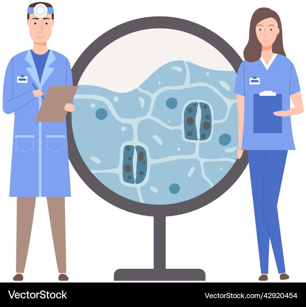 Biologists study structure of plant cell Vector Image