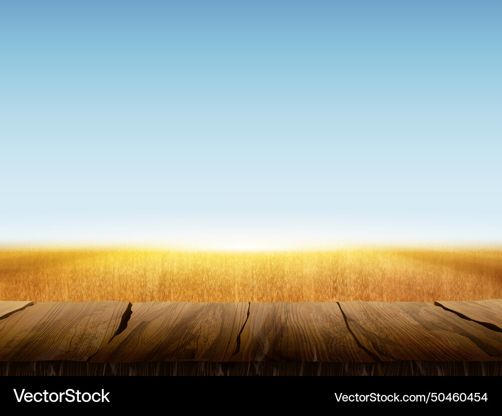 Natural wheat field background Royalty Free Vector Image