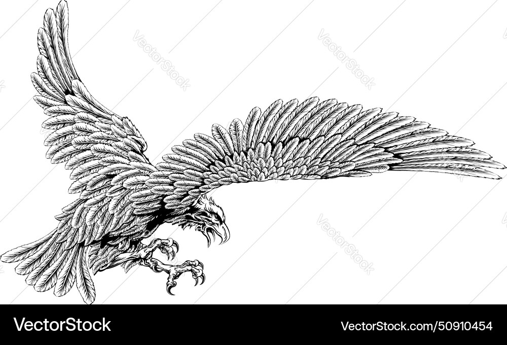 Swooping eagle Royalty Free Vector Image - VectorStock