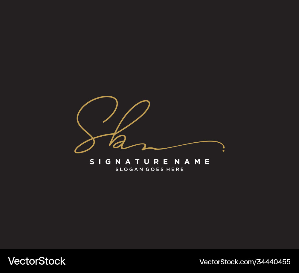 Letter sb signature logo template Royalty Free Vector Image