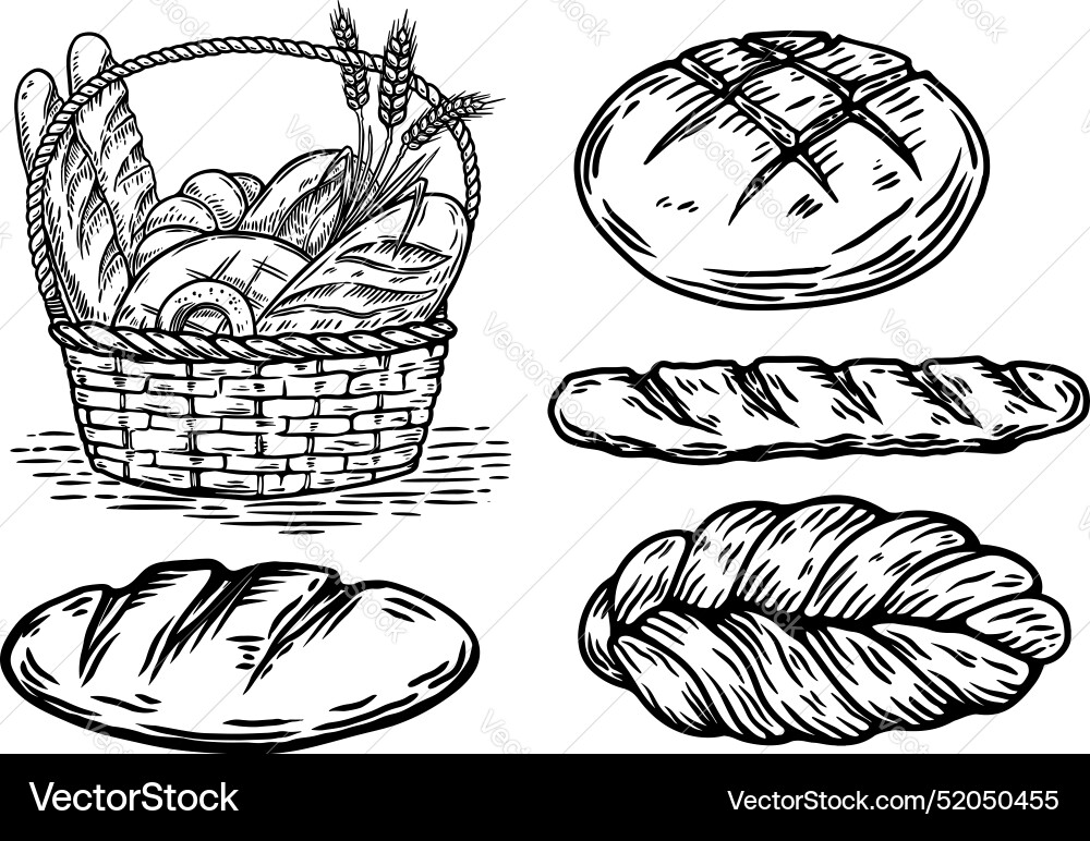 Set of hand drawn bread design elements bakery Vector Image