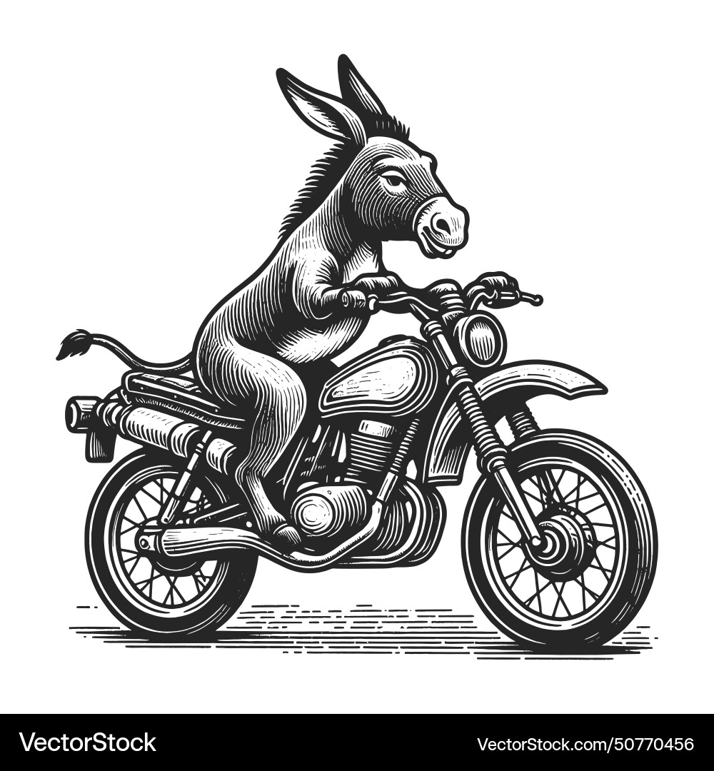 Donkey riding motorcycle sketch Royalty Free Vector Image