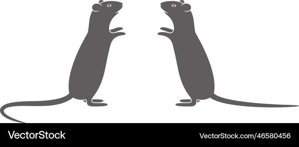 Mouse Royalty Free Vector Image - VectorStock