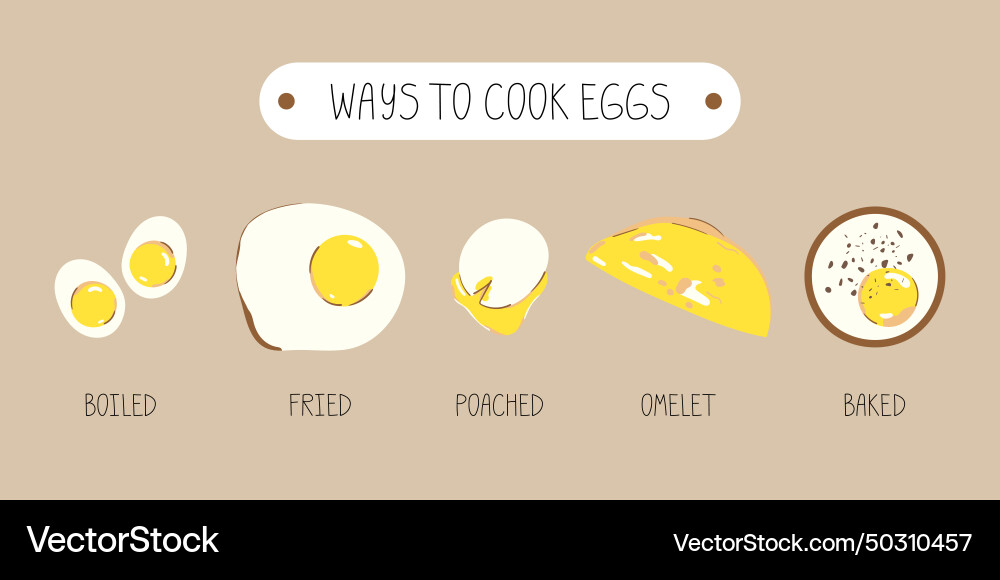 Boiled fried baked poached eggs and omelet Vector Image