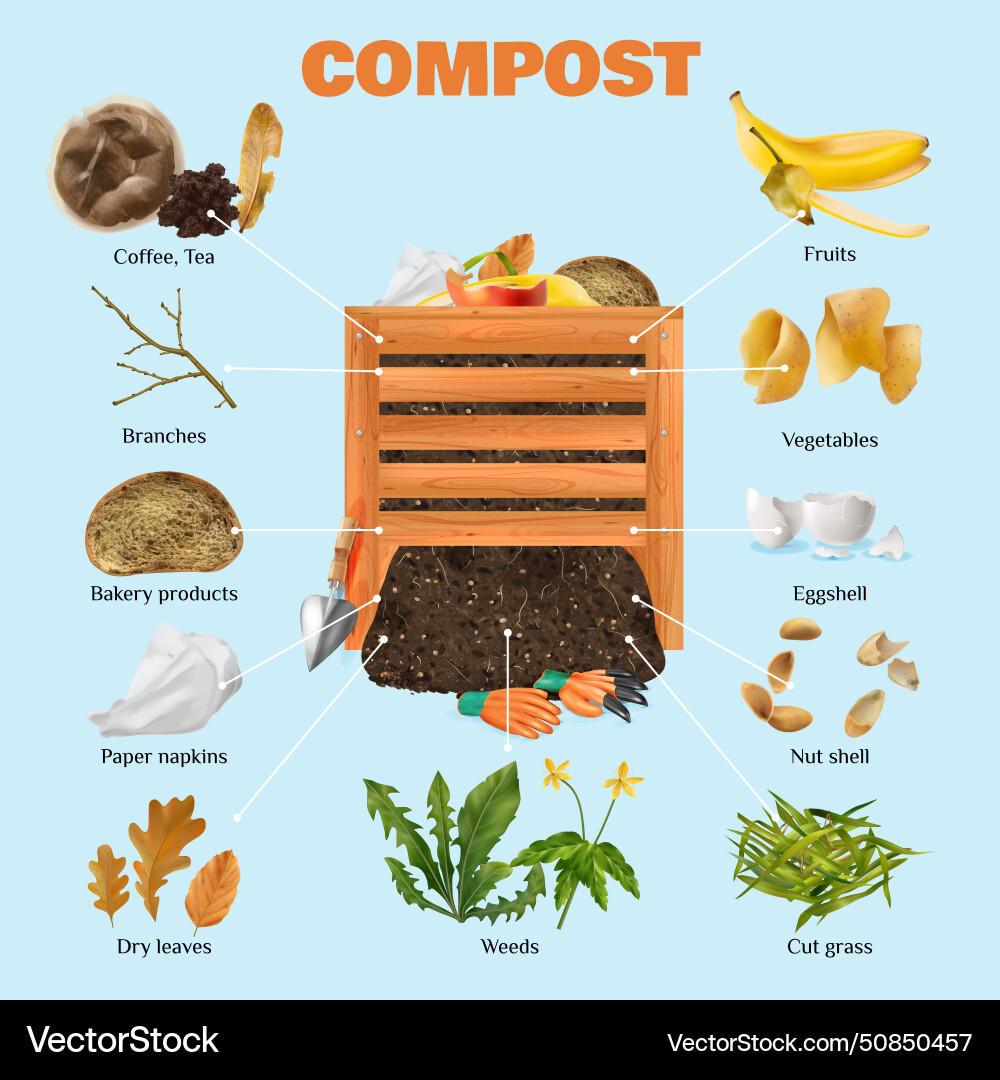 Compost realistic composition Royalty Free Vector Image