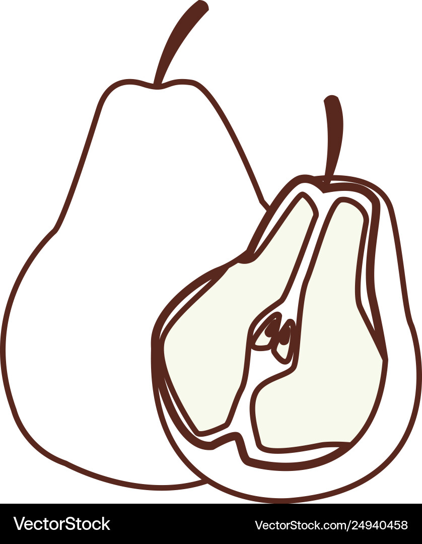 Pear cut halves Royalty Free Vector Image - VectorStock