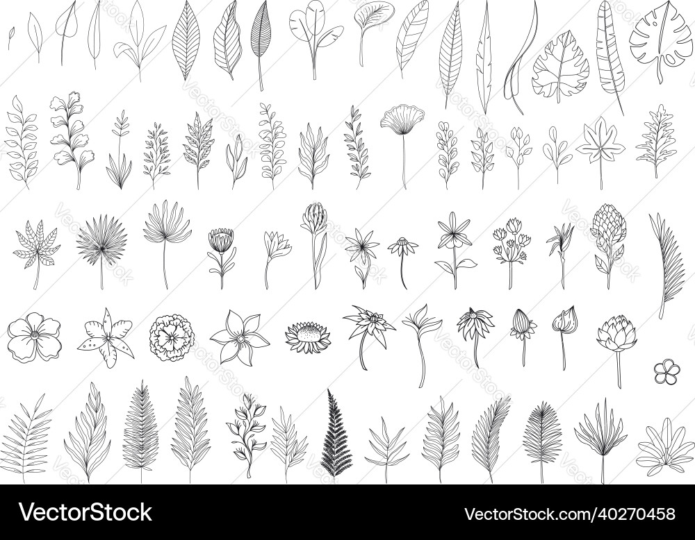 Simple tropical leaves and flowers Royalty Free Vector Image