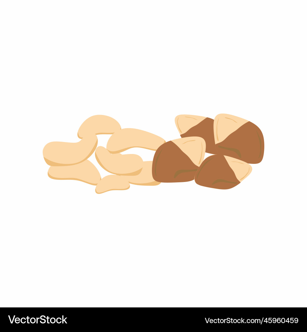 Roasted nut in shell isolated flat cartoon Vector Image