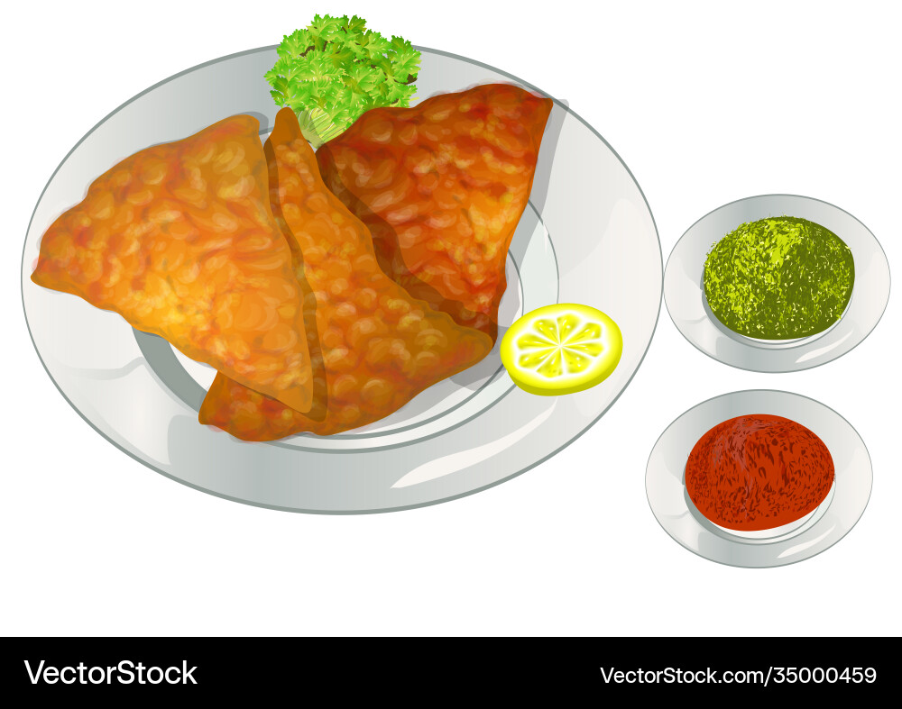 Samosa indian food Royalty Free Vector Image - VectorStock