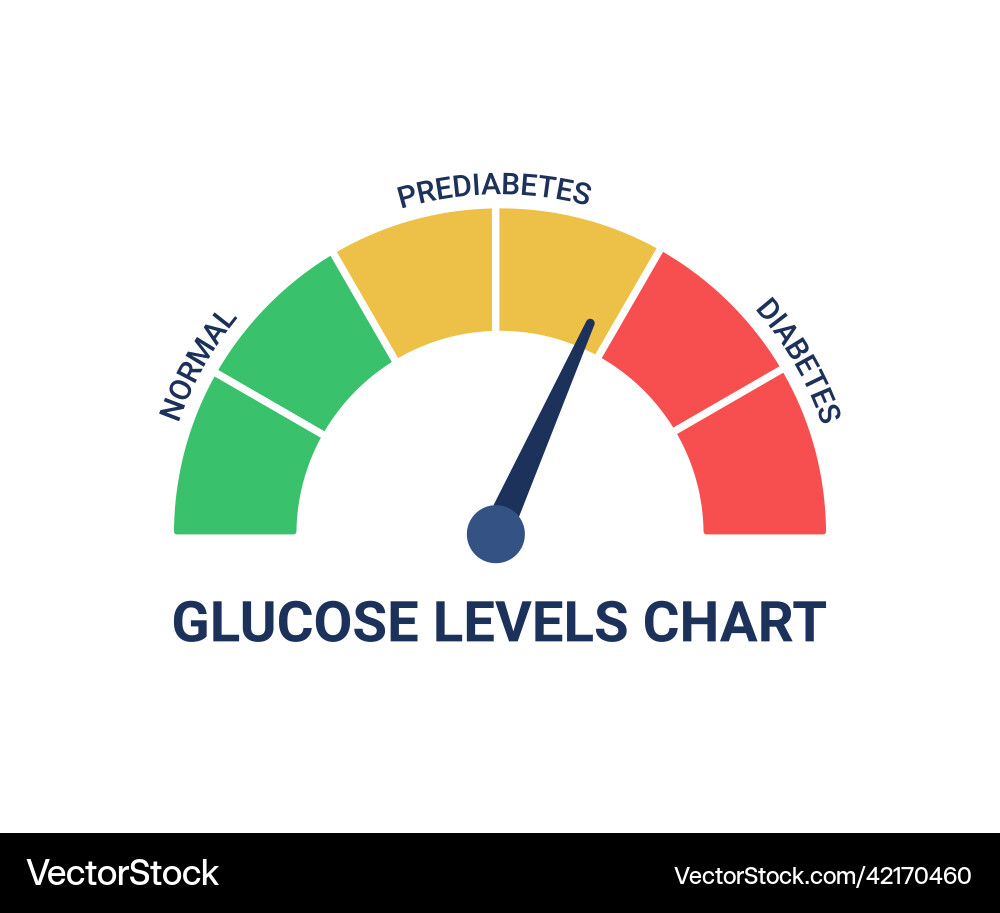 Glucose levels chart with different diagnosis Vector Image