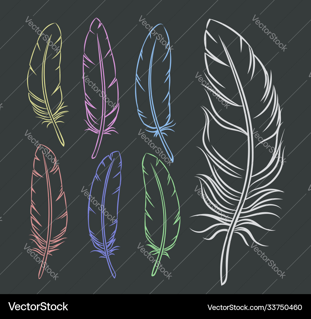 Hand drawn feathers set Royalty Free Vector Image