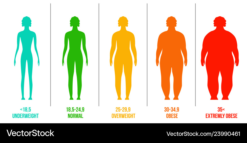 BMI Body Mass Index Infographic Royalty Free Vector Image