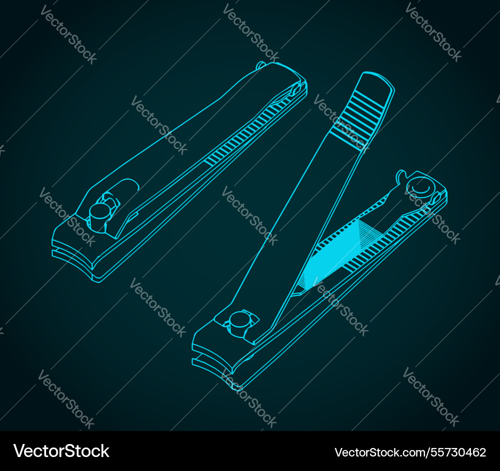 Nail clipper isometric blueprints Royalty Free Vector Image