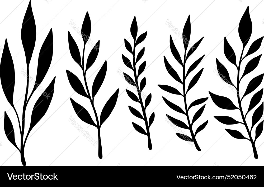 Set of hand drawn floral branches design element Vector Image