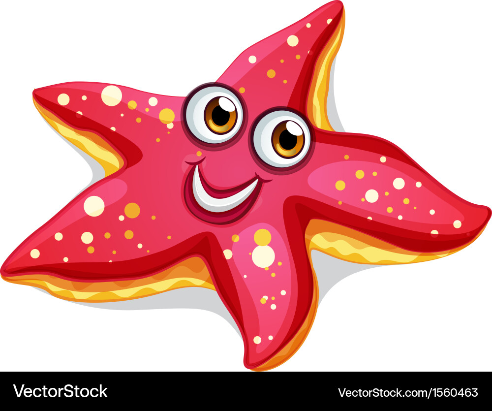 A smiling starfish Royalty Free Vector Image - VectorStock