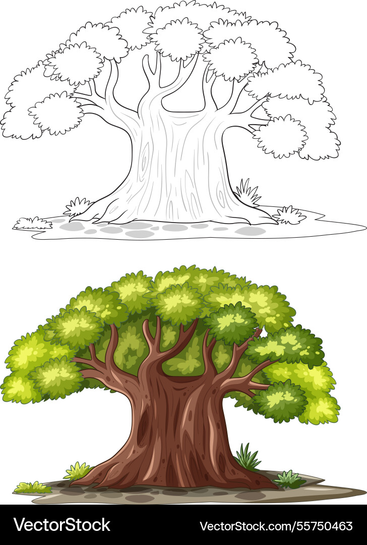 A tree in color and outline Royalty Free Vector Image