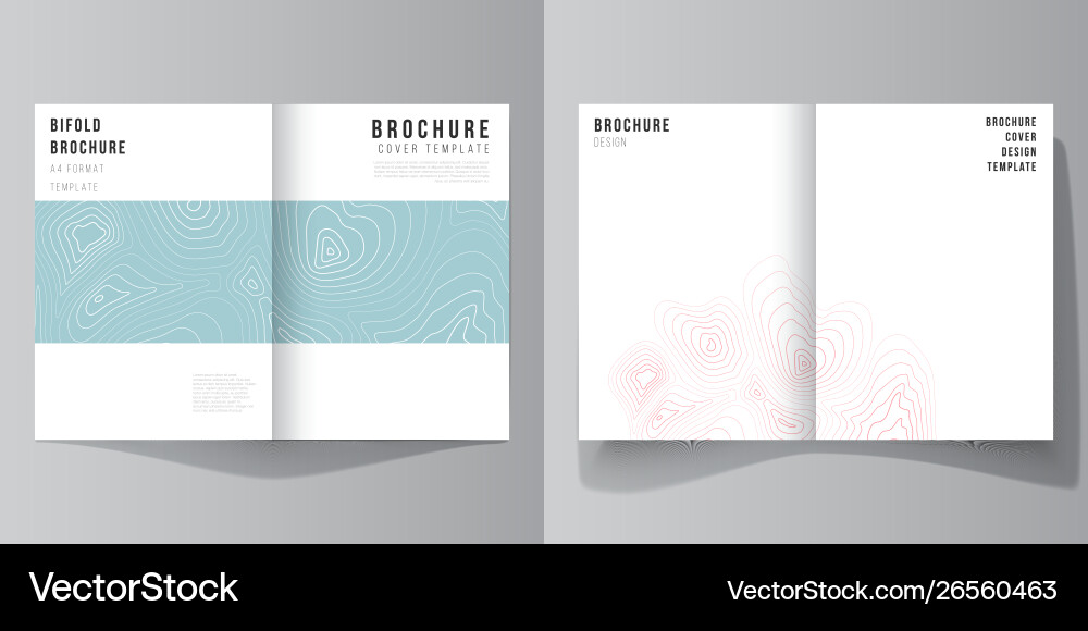 Layout two a4 format modern cover Royalty Free Vector Image