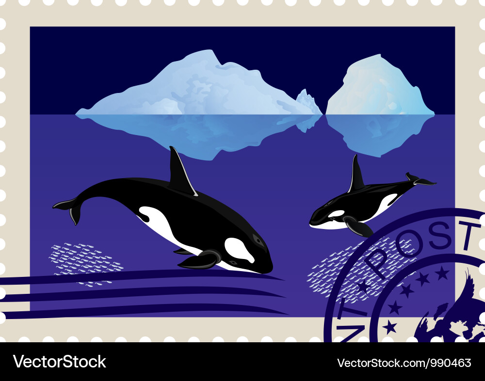 Postage stamp with killer whales Royalty Free Vector Image
