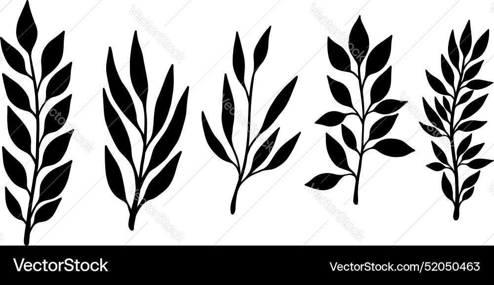 Set of hand drawn floral branches design element Vector Image