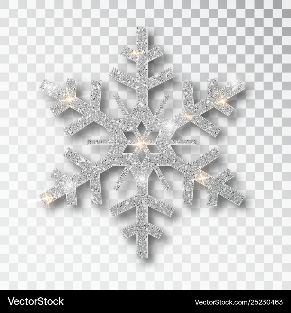 Silver snowflake isolated on a transparent Vector Image
