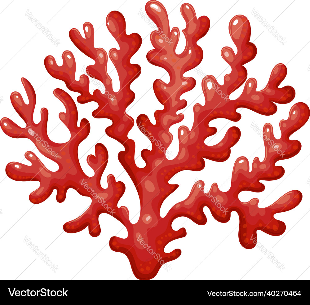 Red coral Royalty Free Vector Image - VectorStock