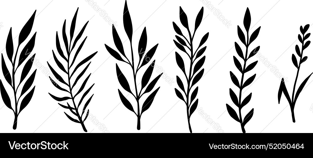 Set of hand drawn floral branches design element Vector Image